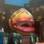 Audrey II Puppets - Stage Monkey Design & Consulting
